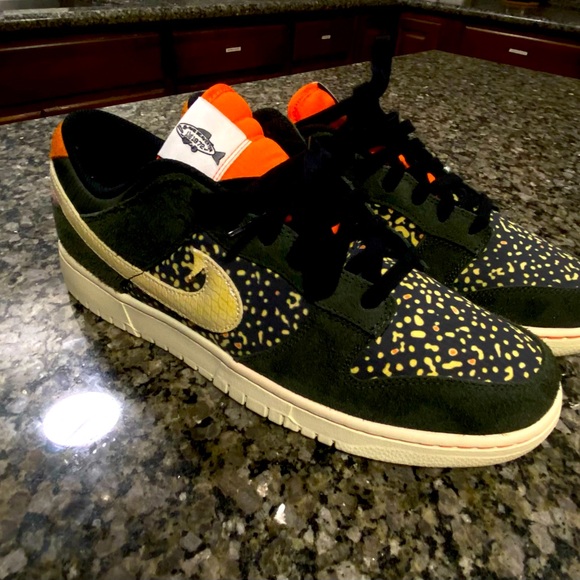 Nike | Shoes | 223dunk Low Se Gone Fishing Rainbow Trout | Poshmark